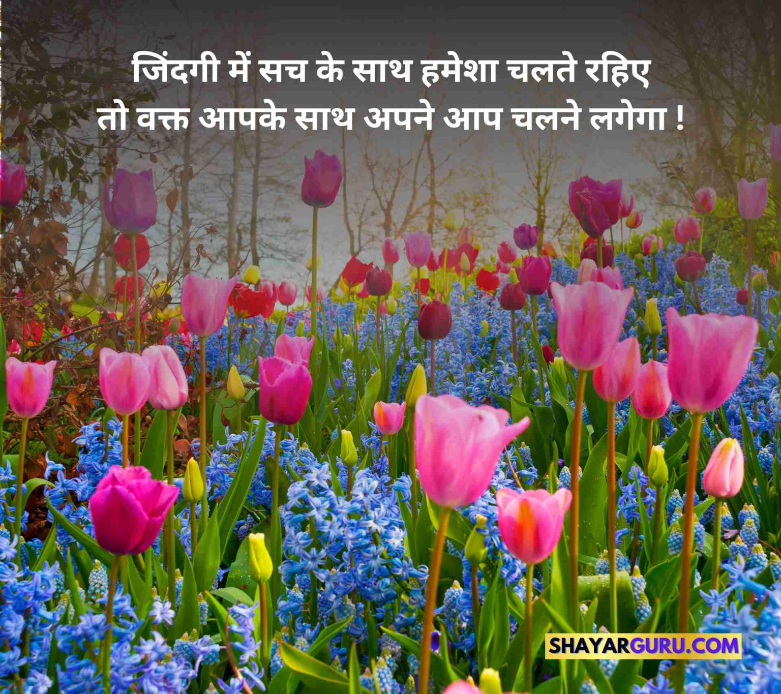 110+ Suvichar in Hindi | Best सुविचार हिंदी में