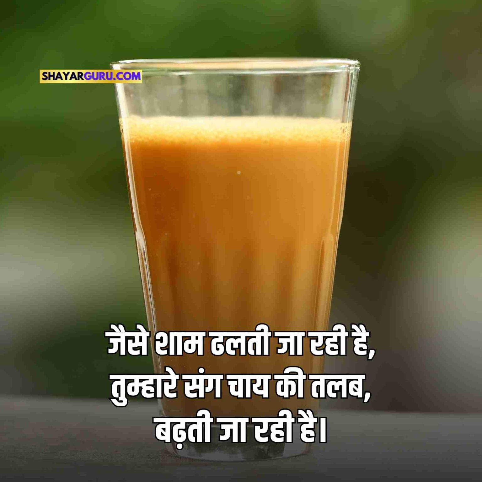 99+ Chai Lover Shayari in Hindi | Best चाय पर शायरी